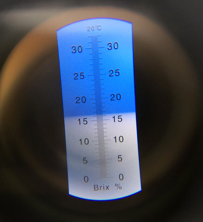 Control de maduración en el viñedo experimental Monet